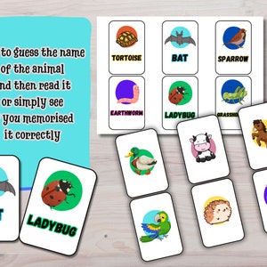 Cute Animals Flashcards. Learn the English Names of 36 Animals With ...