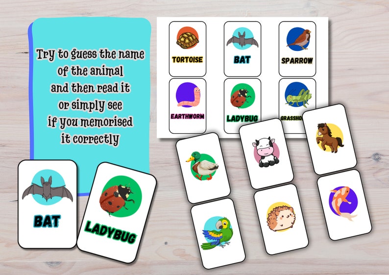 Cute Animals Flashcards. Learn the English Names of 36 Animals With ...