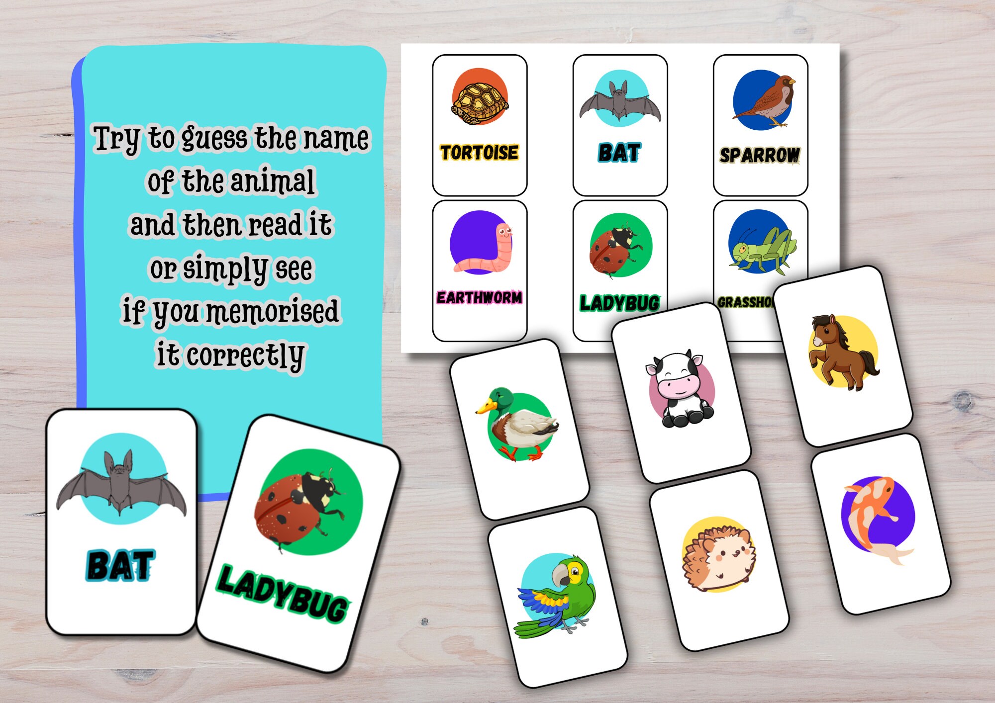 Cute Animals Flashcards. Learn the English Names of 36 Animals With ...