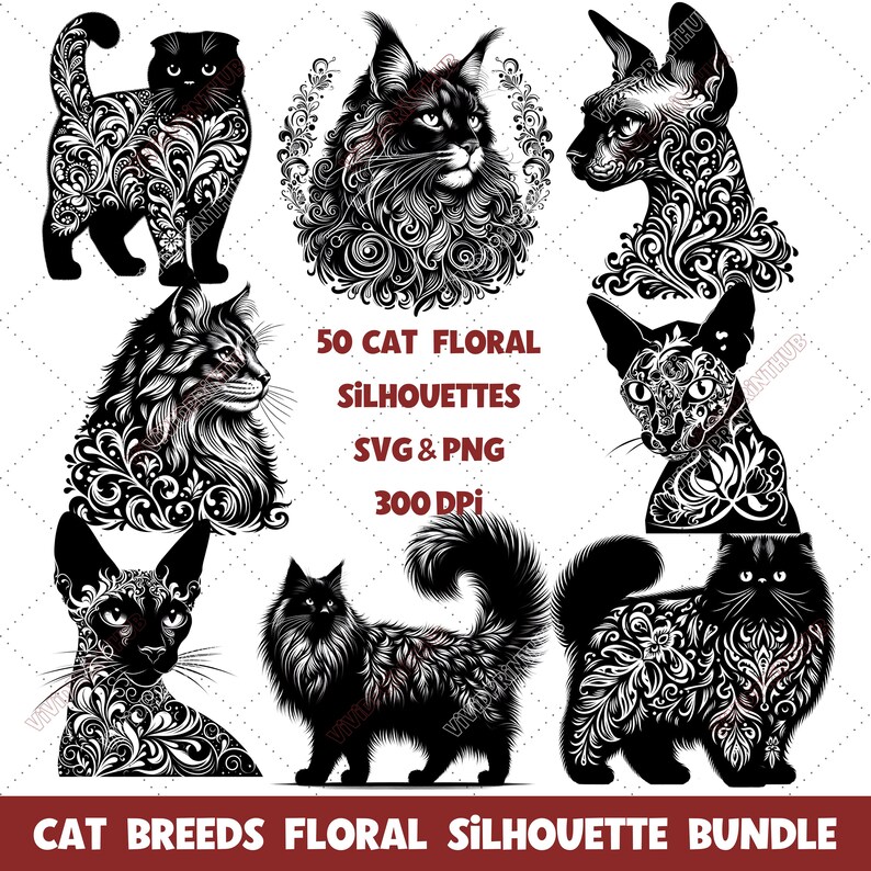 Cat SVG Bundle 50 Floral Cat Breeds Silhouettes, Black Cat Vector Files ...