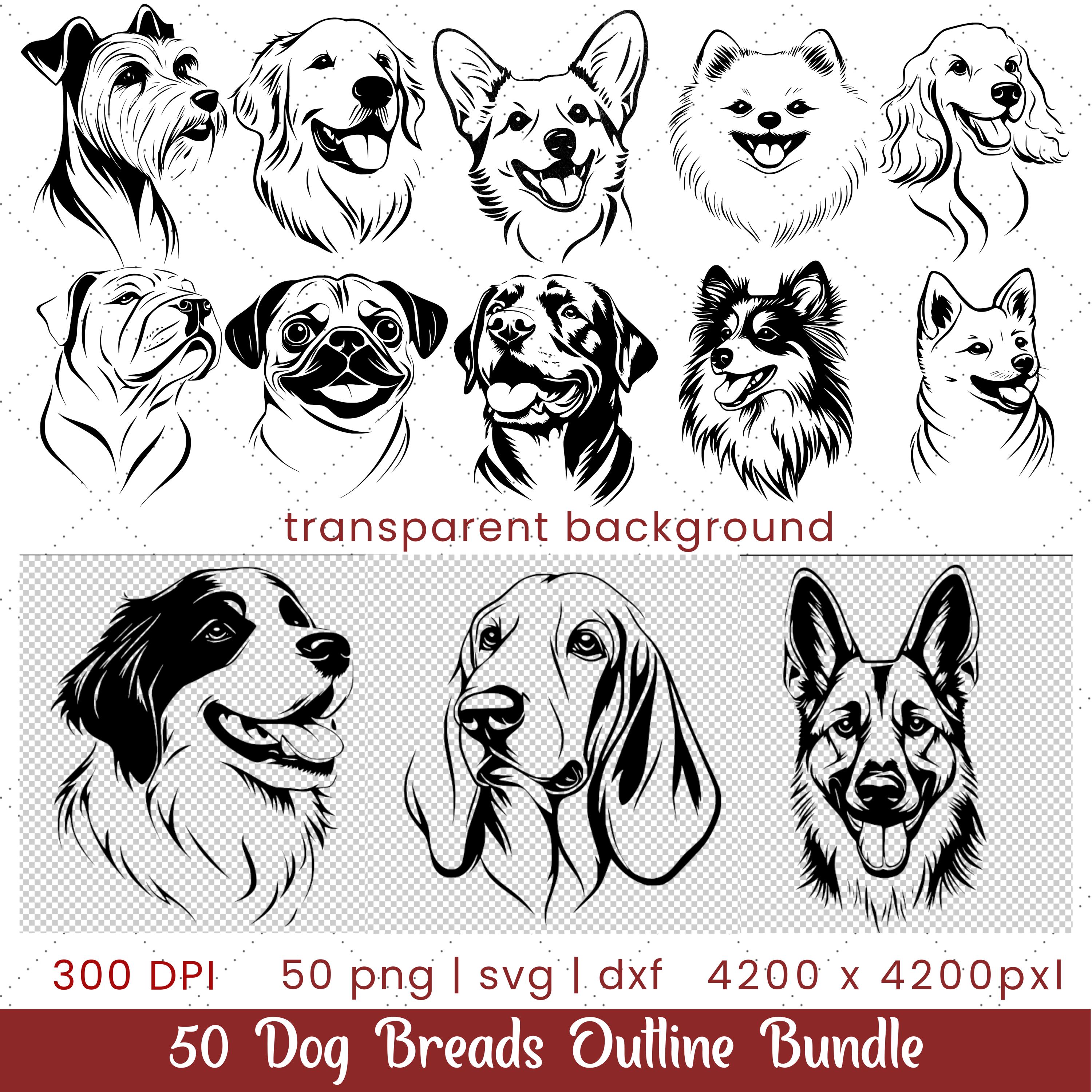 50 Dog Breeds SVG Bundle – Dog Silhouette & Face Vector for Cricut ...