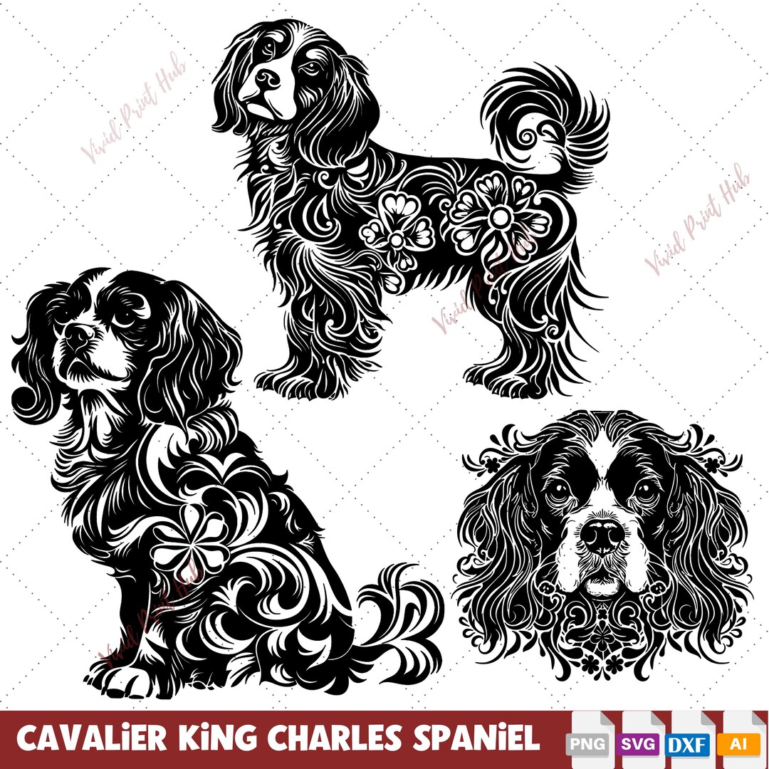 Cavalier King Charles Spaniel SVG Bundle - Floral Dog Silhouettes ...