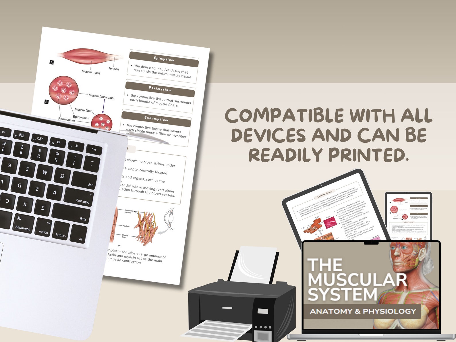 A&P Muscular System 9 Pages Digital Nursing Study Notes PDF Future ...