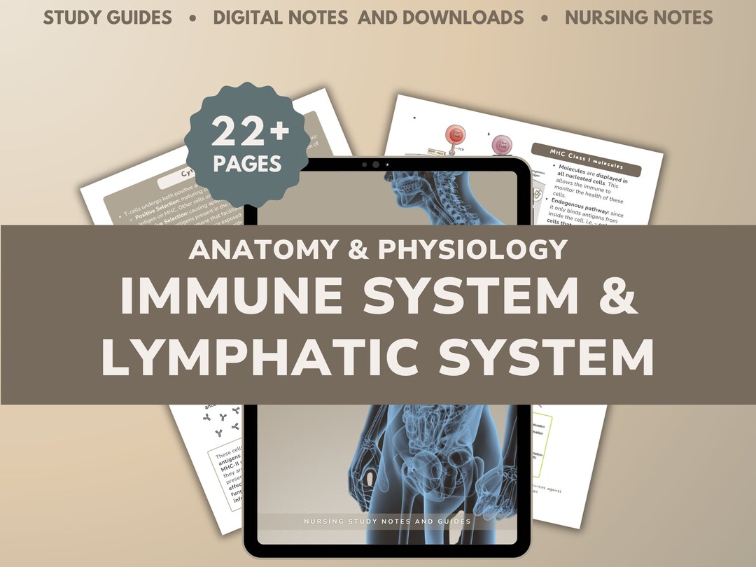 Anatomy and Physiology - Immune System and Lymphatic System | A&P ...