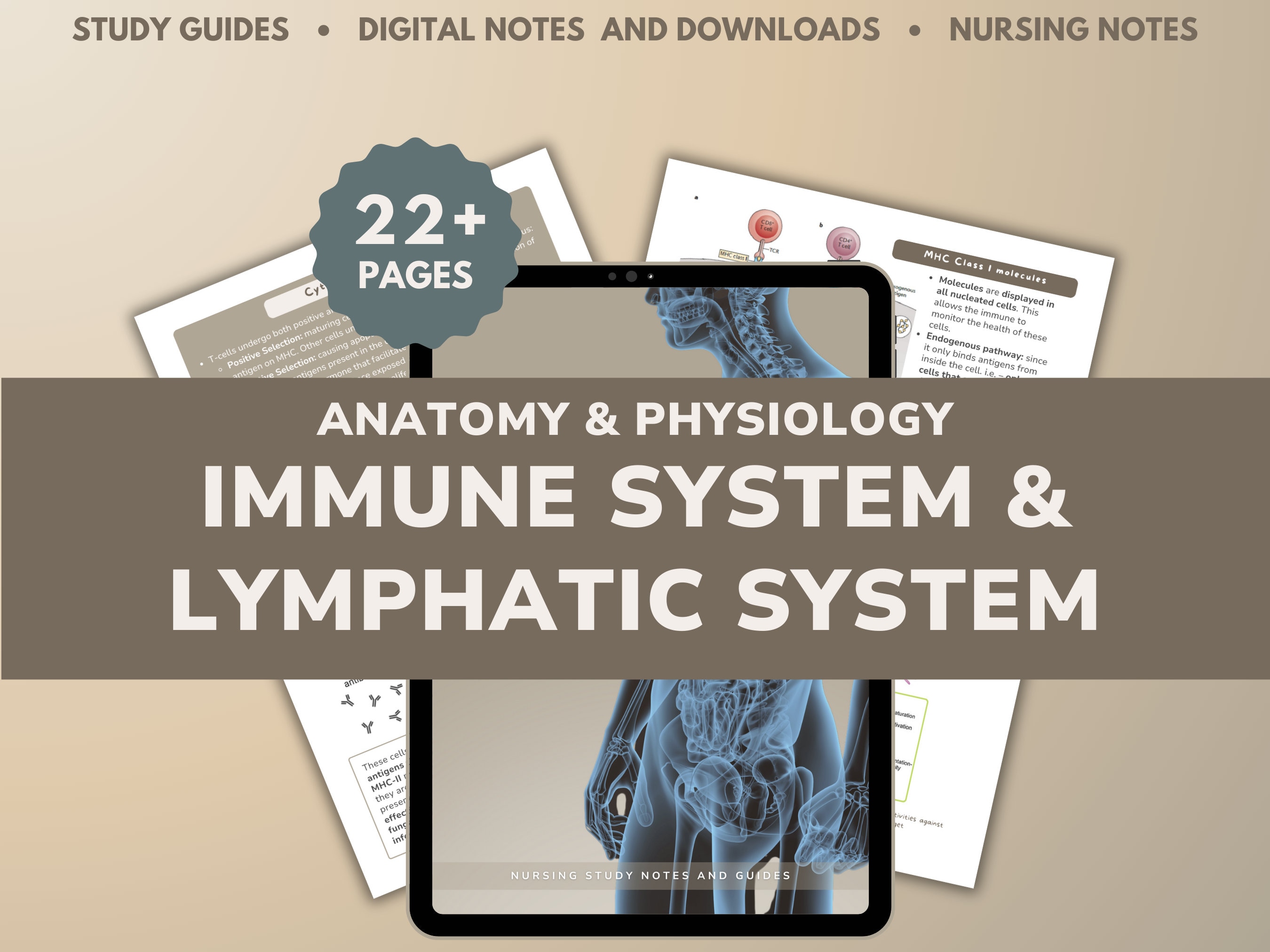 Anatomy and Physiology - Immune System and Lymphatic System | A&P ...