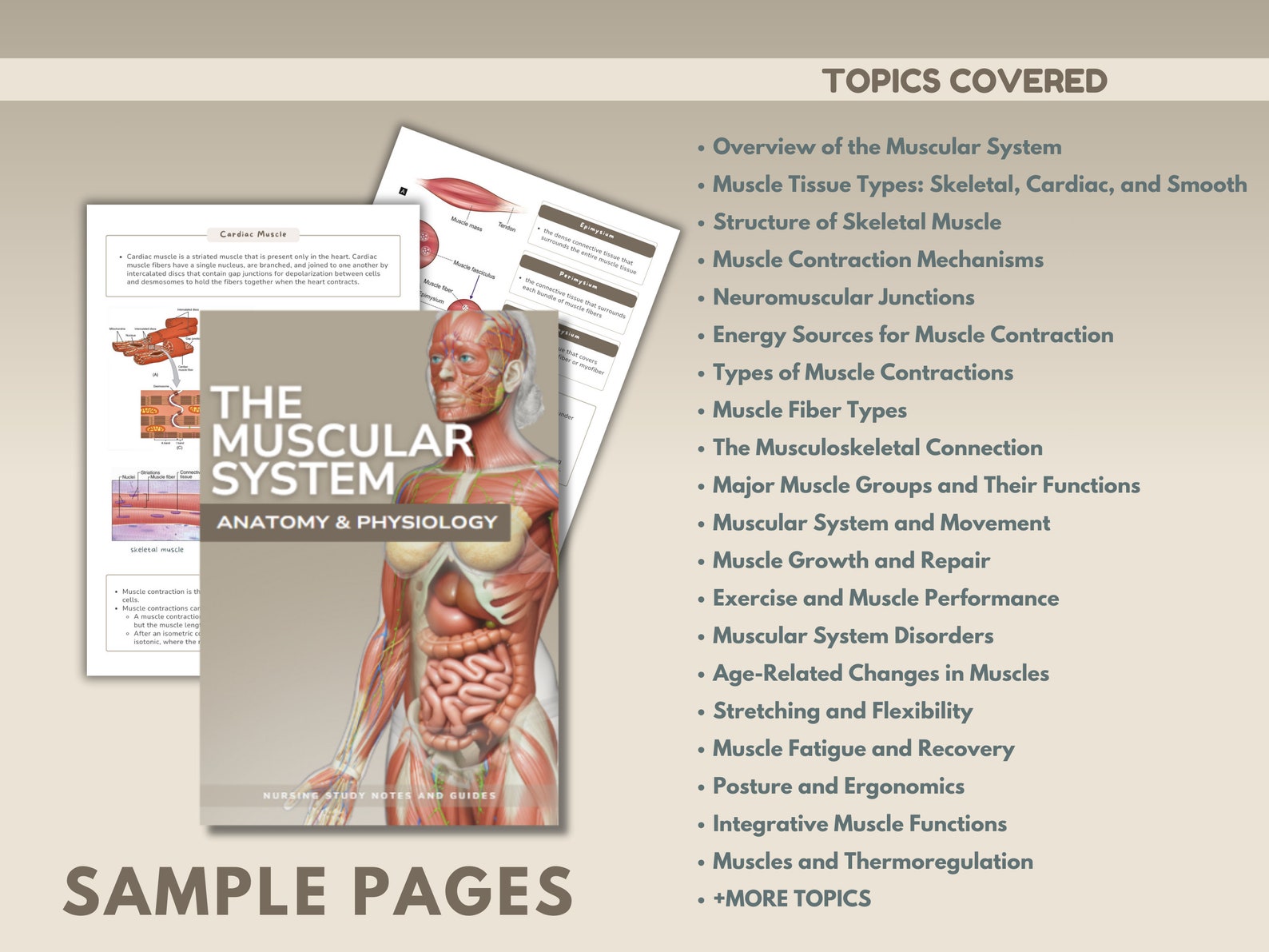 A&P Muscular System 9 Pages Digital Nursing Study Notes PDF Future ...
