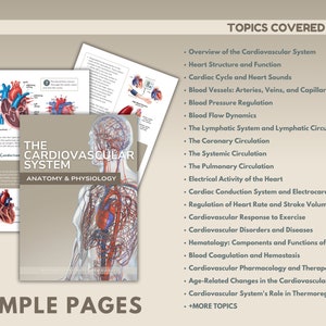 Cardiovascular System | Anatomy & Physiology Nursing Notes (digital PDF ...