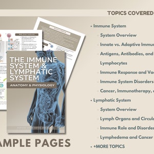 Anatomy and Physiology - Immune System and Lymphatic System | A&P ...