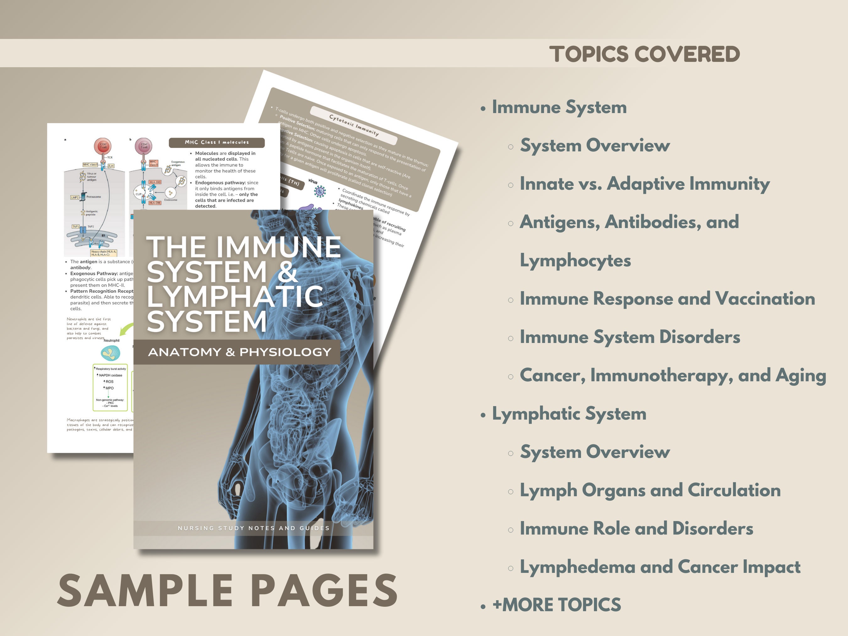 Immune & Lymphatic Systems - Nursing Study Guide (digital Download) - Etsy