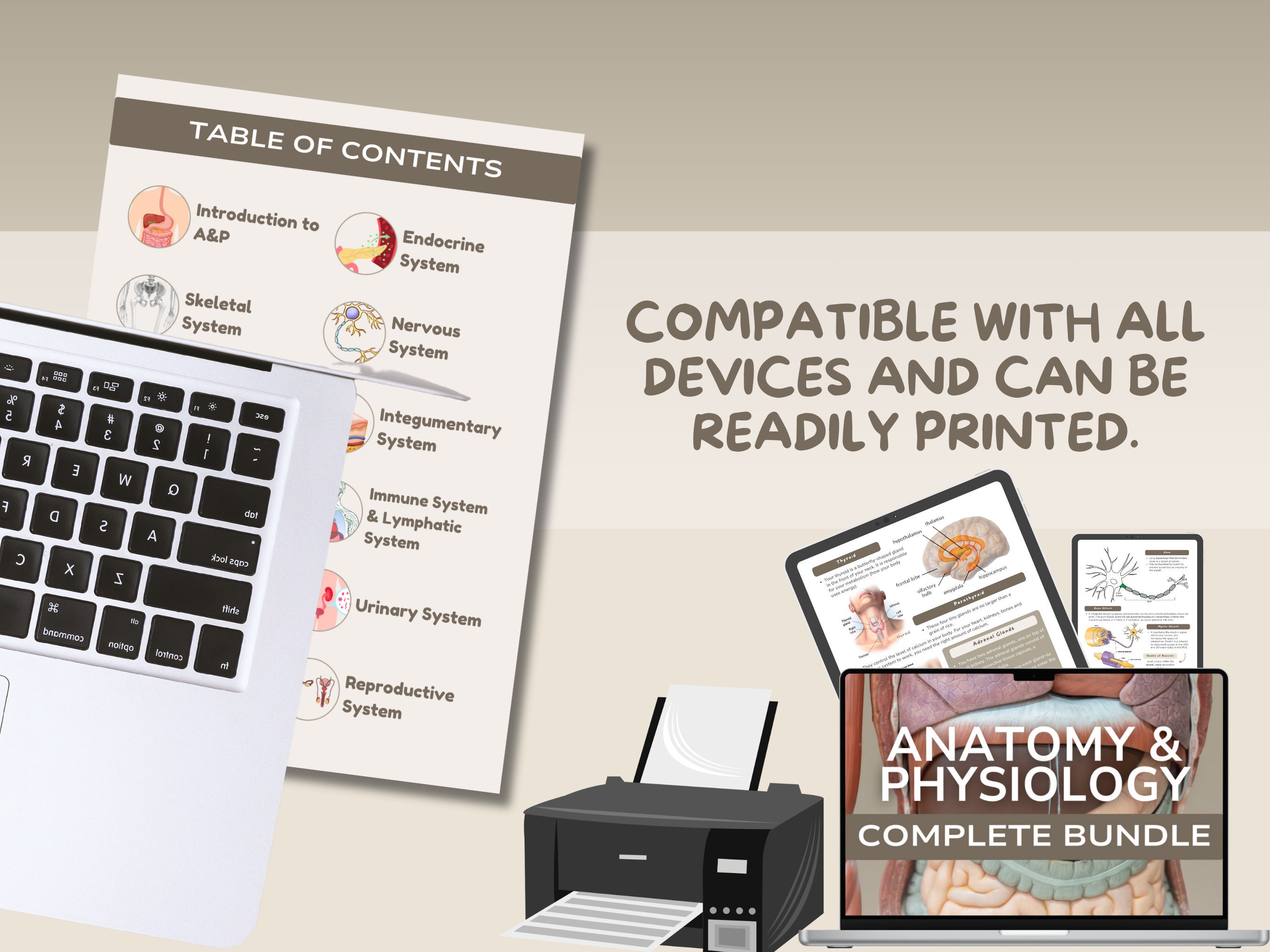 Anatomy and Physiology COMPLETE BUNDLE | Digital Study Guide | 147 ...