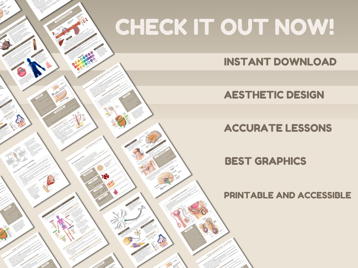 Human Integumentary System - Anatomy and Physiology | 8 Pages | A&P ...