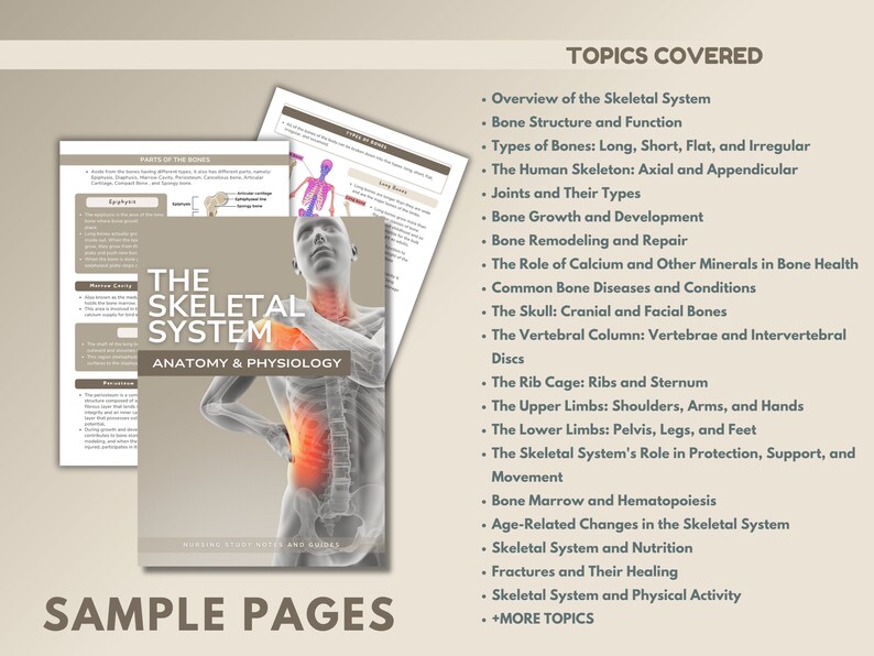 Anatomy and Physiology - Skeletal System | 13 Pages | Nursing Study ...