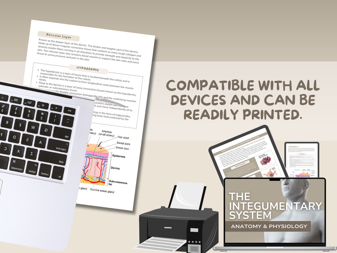Human Integumentary System - Anatomy and Physiology | 8 Pages | A&P ...