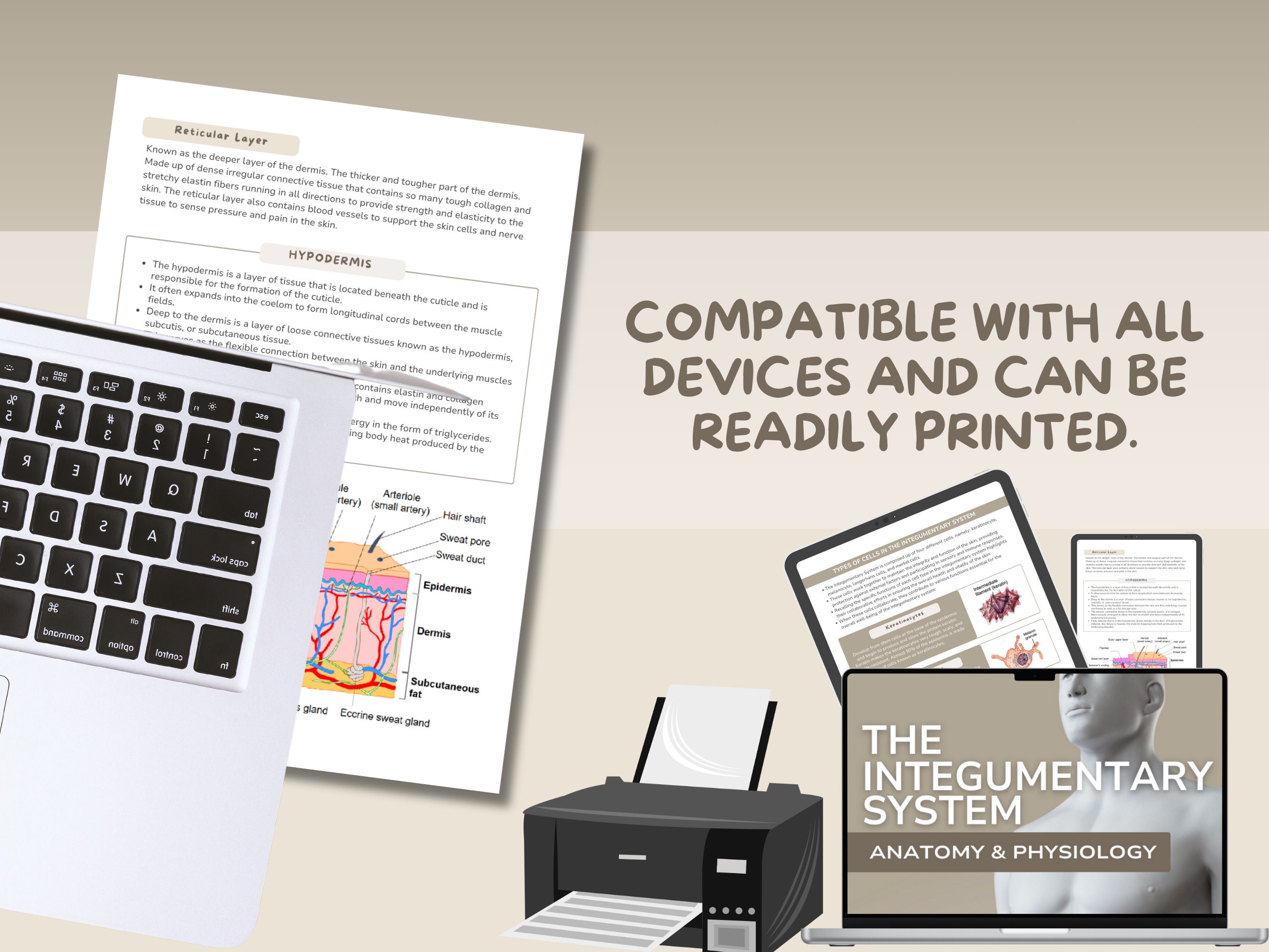Human Integumentary System - Anatomy and Physiology | 8 Pages | A&P ...