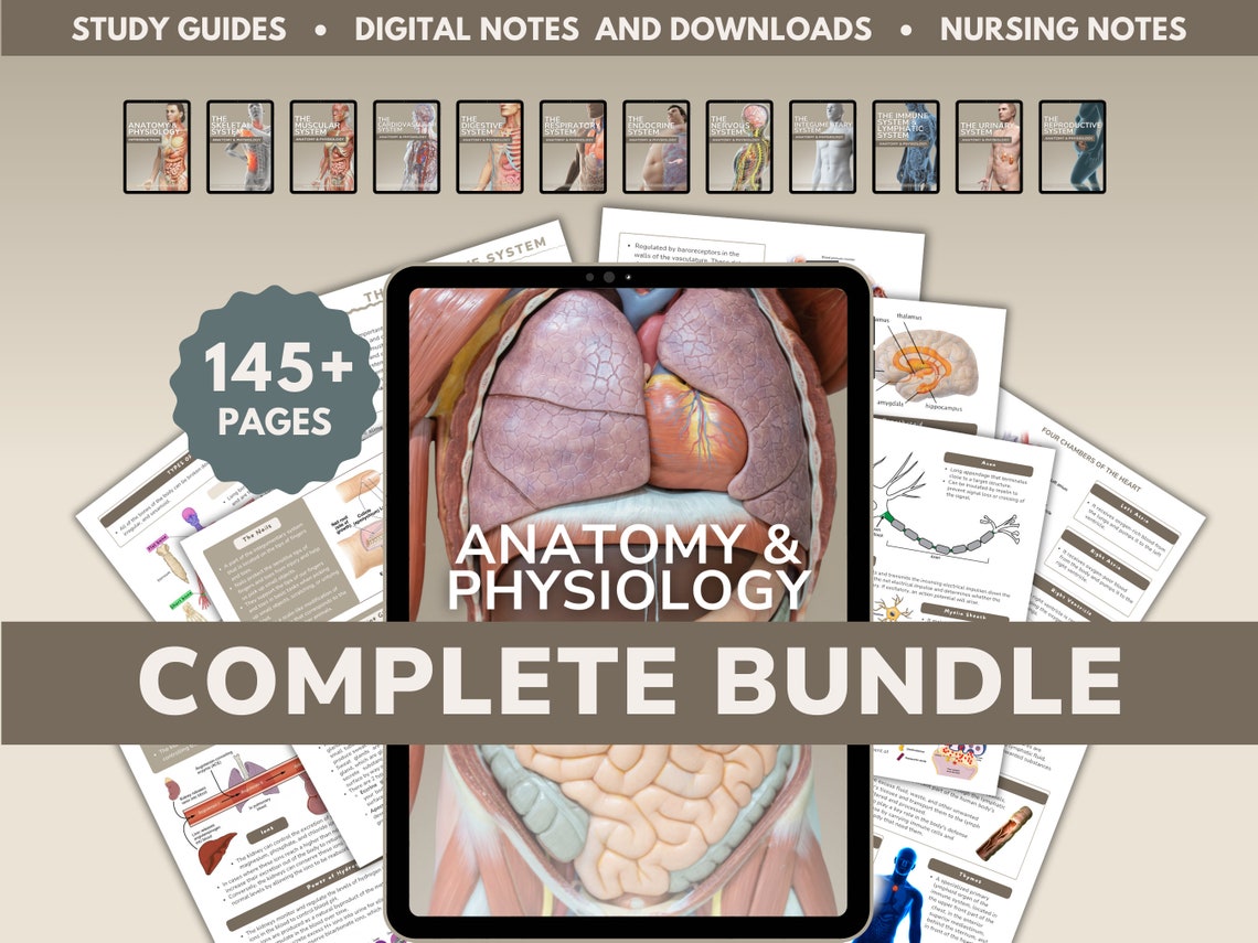 Anatomy and Physiology Study Guide Bundle | Nursing School (digital ...