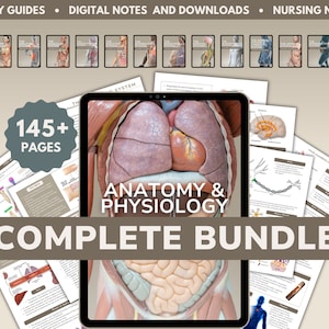 Cardiovascular System Anatomy and Physiology A&P Guide 13 Pages Nursing ...