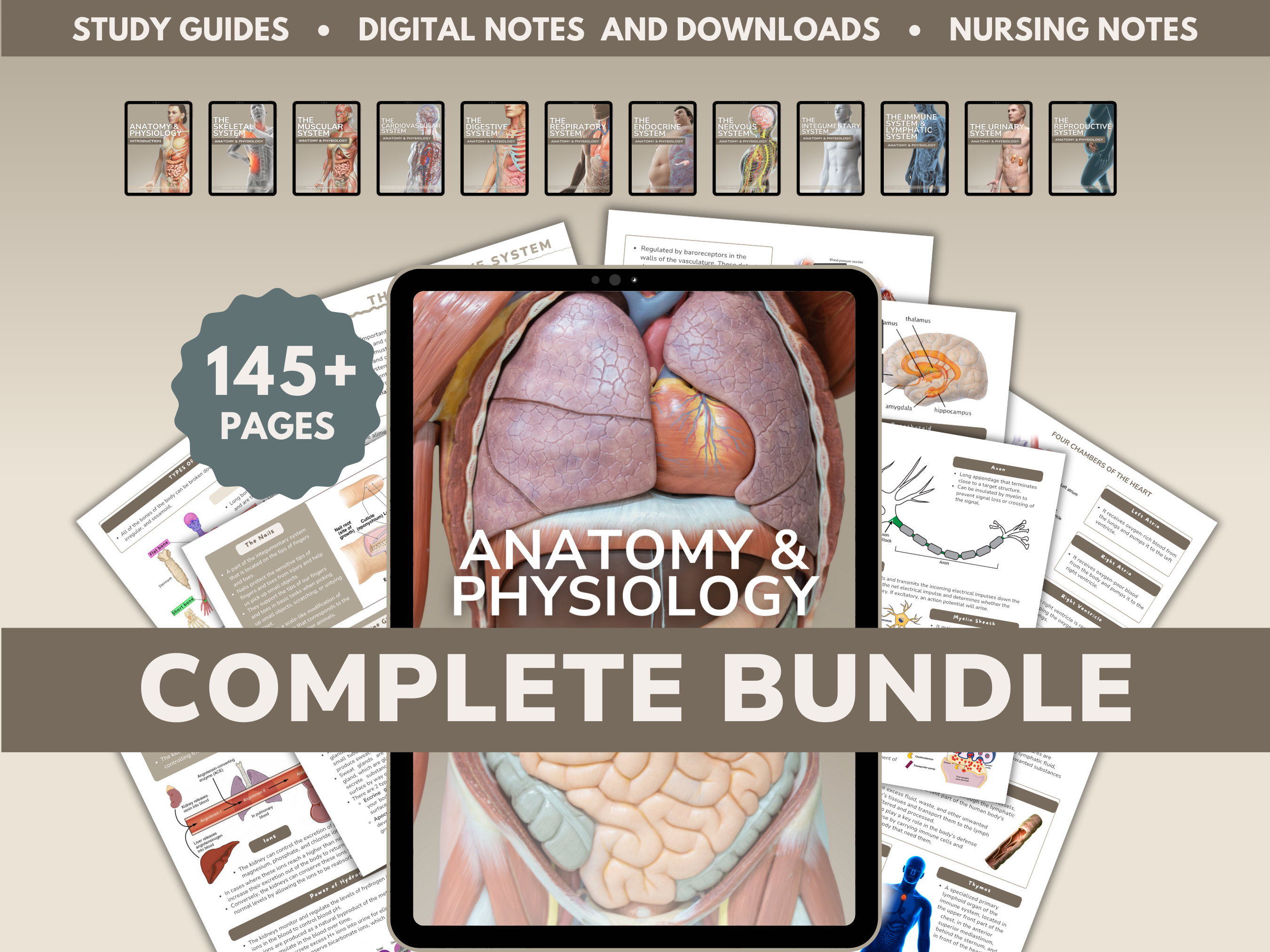 Anatomy and Physiology COMPLETE BUNDLE | Digital Study Guide | 147 ...