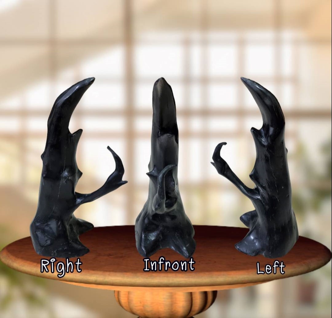 The Natural Tree Root Sculpture for Decoration House or for Special ...