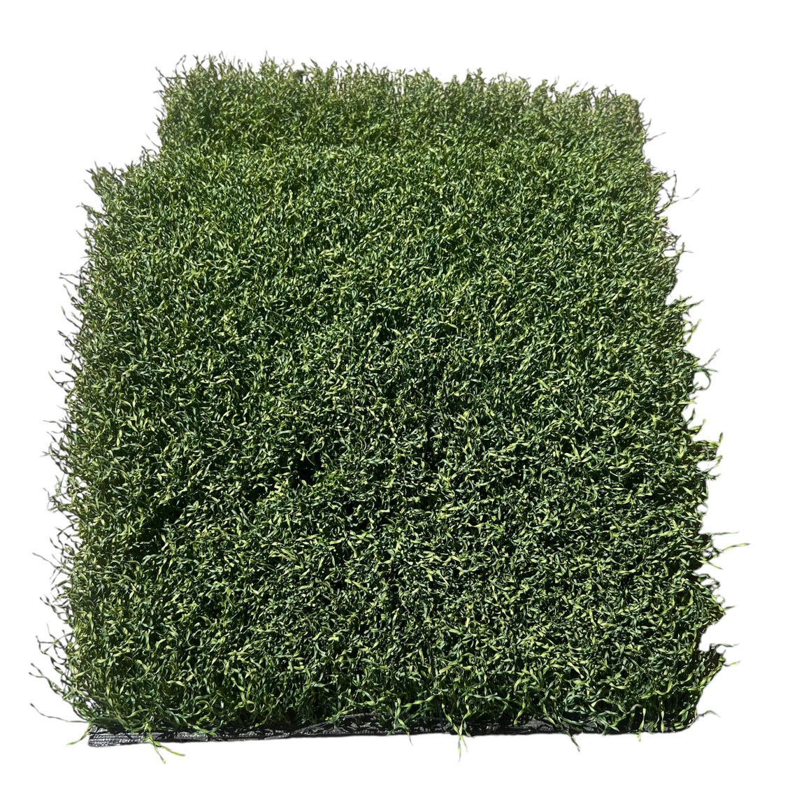 Recycled Artificial Grass Square - Turf for Crafts, Decorations, Pet ...