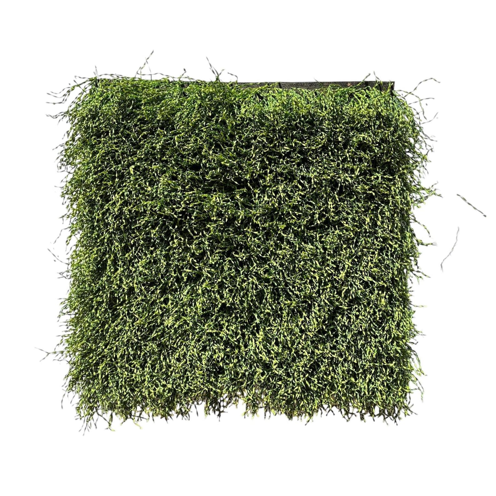 Artificial Grass Turf 1ct 1x1ft, More Value! Curly Long Pile Grass ...
