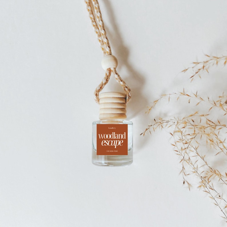 Car Diffusers | Premium Fragrance Oil - Etsy