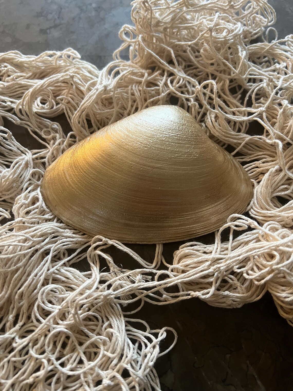 Anchors Aweigh Surf Clam Shell Decoupage. Nautical Decor. Perfect ...