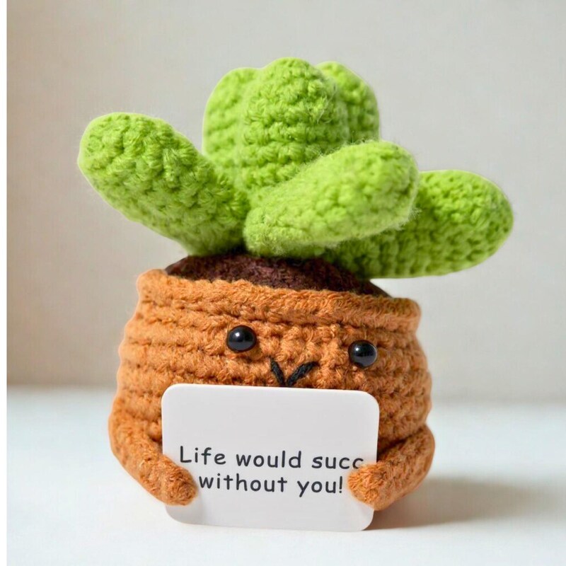 Unique Succulents in Pot - Etsy