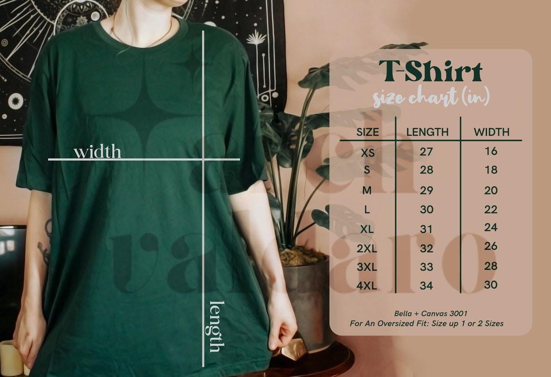 Bella Canvas Size Chart for 3001 Shirts, Model Size Chart for T-shirts ...