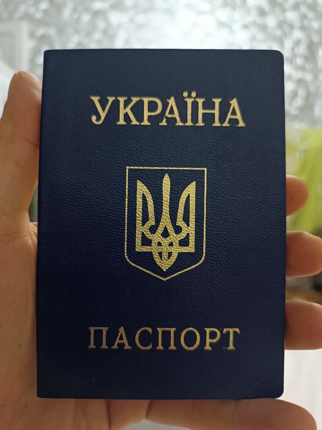 Passport Ukraine 1996 Pass Ausweis ID Document - Etsy