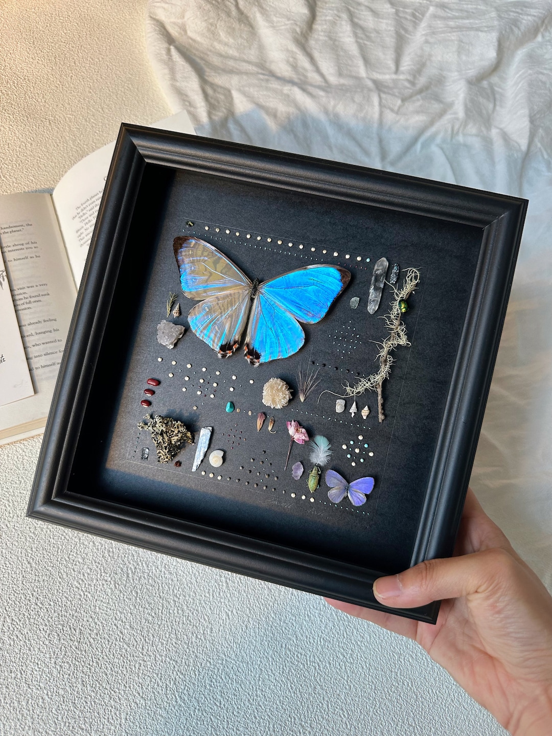 Real Frame Butterfly, Preserved Butterfly Decoration, Taxidermy Butterfly, Butterfly in Wooden ...