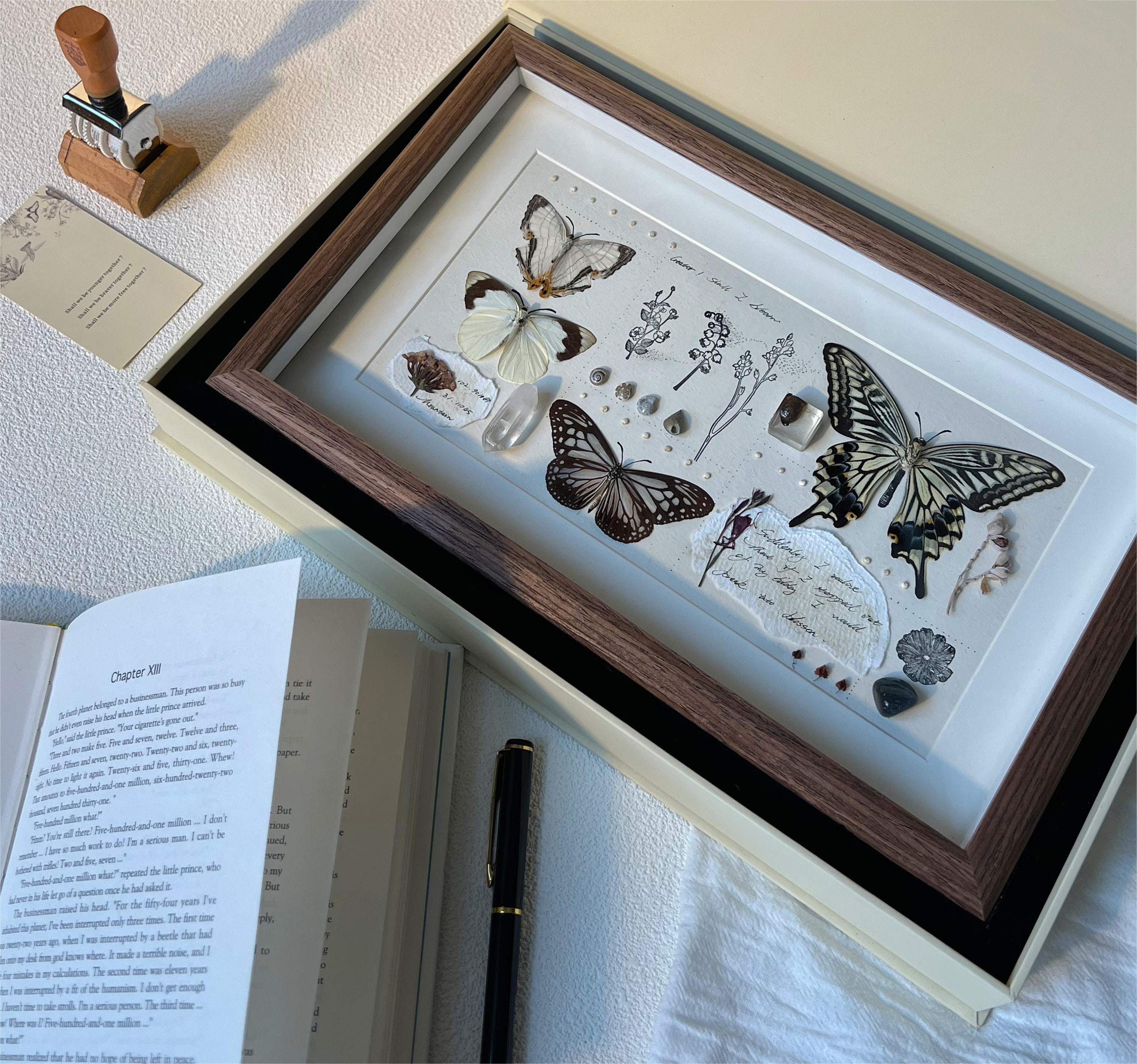 Personalized Real Framed Butterfly,butterfly Display, Real Butterfly ...