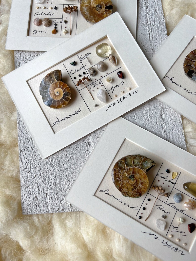 Luxury Fossil Gift – Real Biotic Fossil Framed Art • Custom Engraved ...