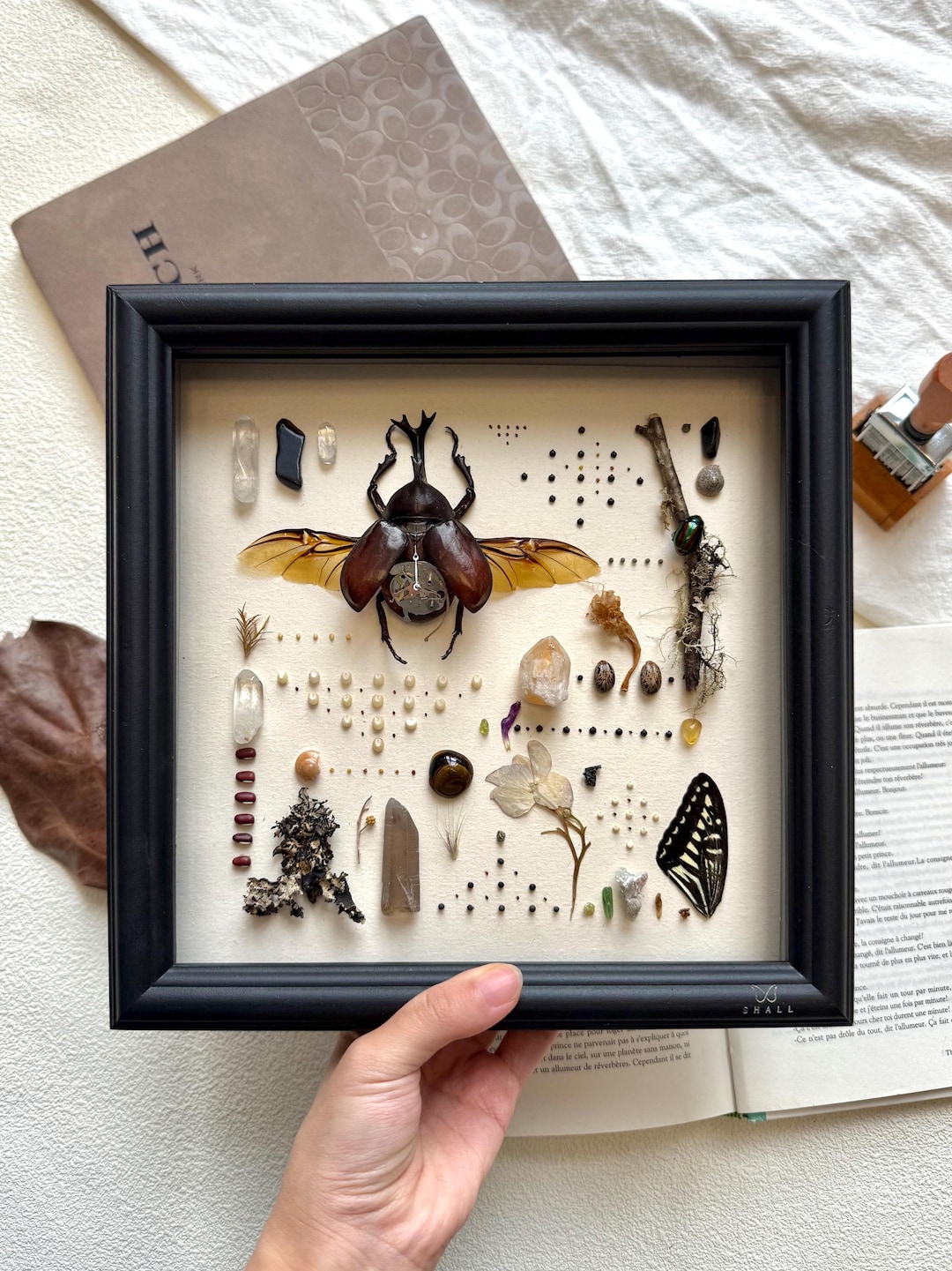 Steampunk-inspired Beetle Art: Beetle & Botanical Specimen Art, Beetle ...