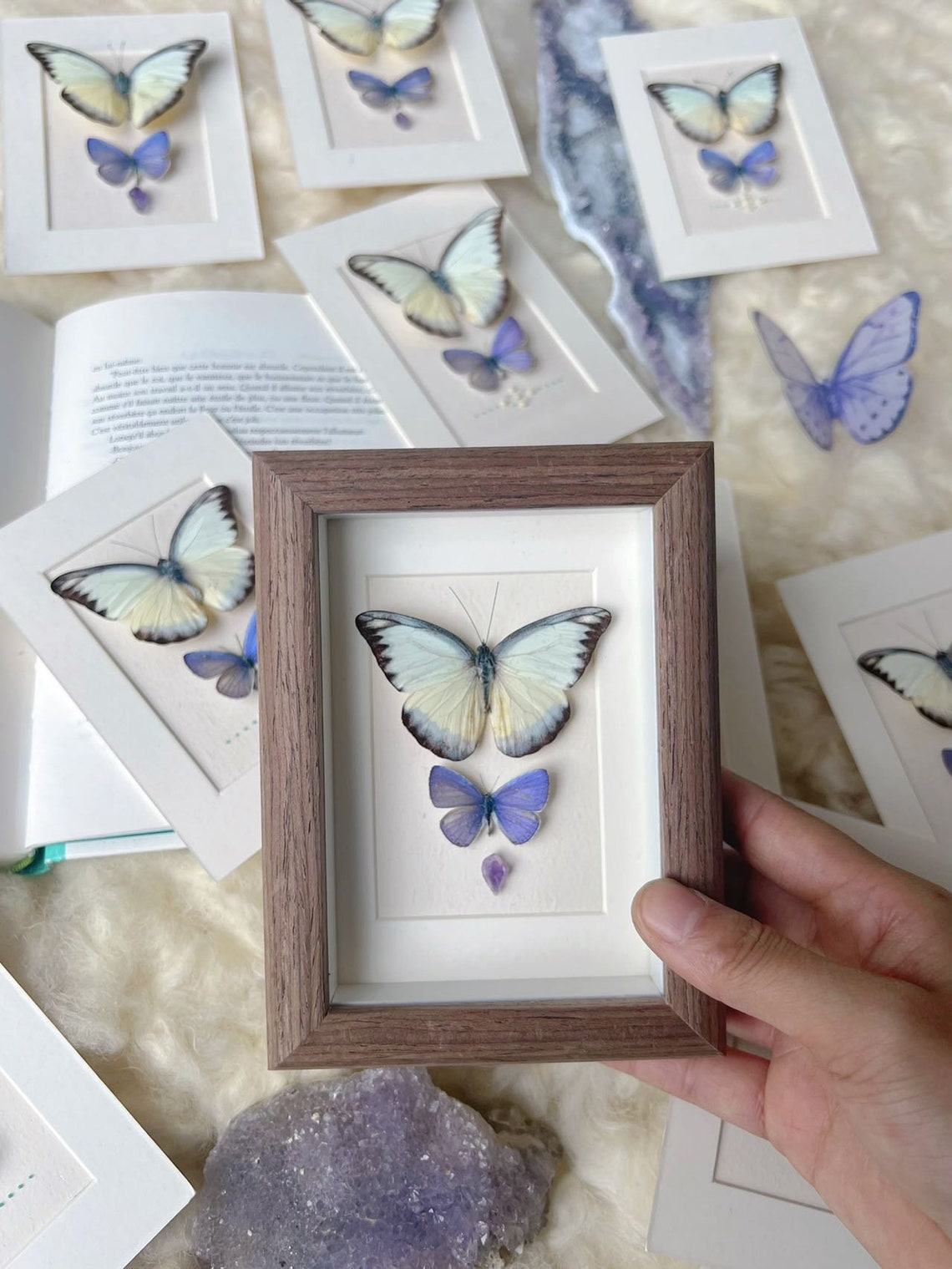 Personalized Butterfly Specimen Gift • Custom Engraved Frame • Real ...