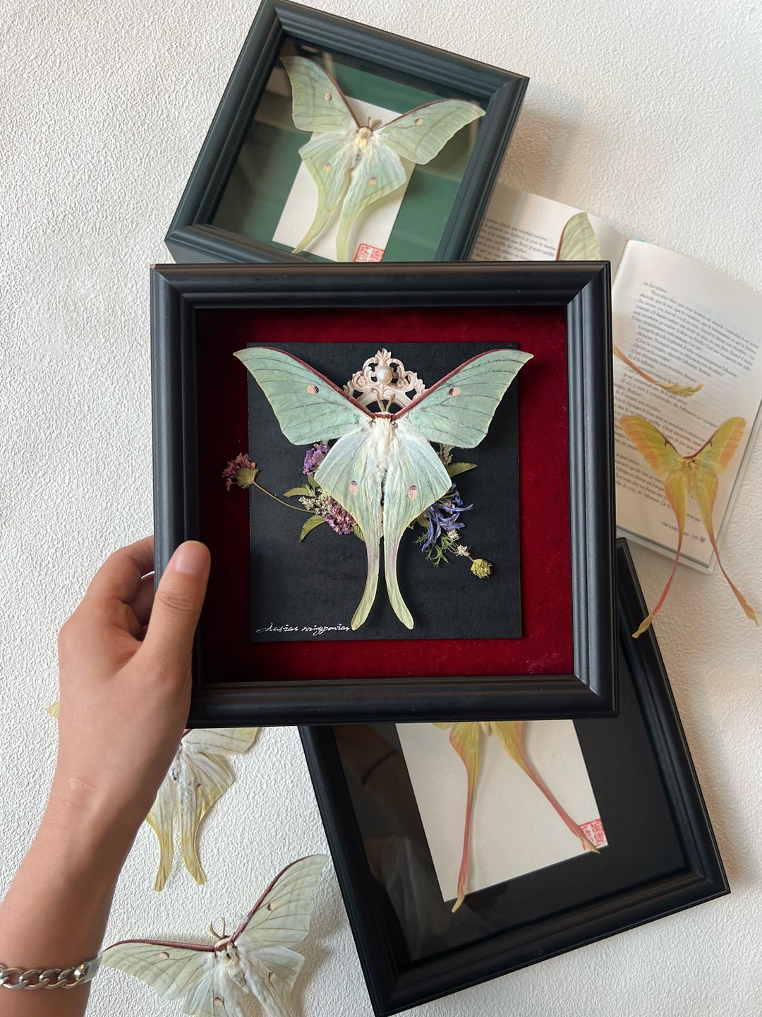 Personalized Giant Actias Luna Moth-perfect Gift Idea for Couples ...