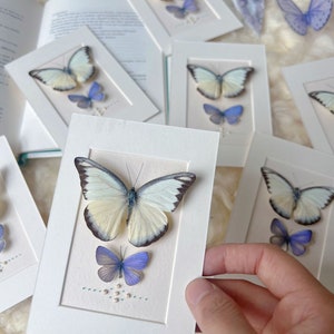 Personalized Butterfly Specimen Gift • Custom Engraved Frame • Real ...