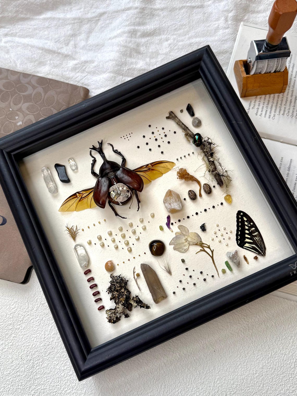 Steampunk-inspired Beetle Art: Beetle & Botanical Specimen Art, Beetle ...