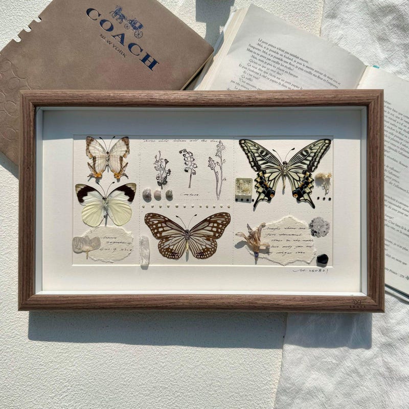 Butterfly Home Decor - Etsy