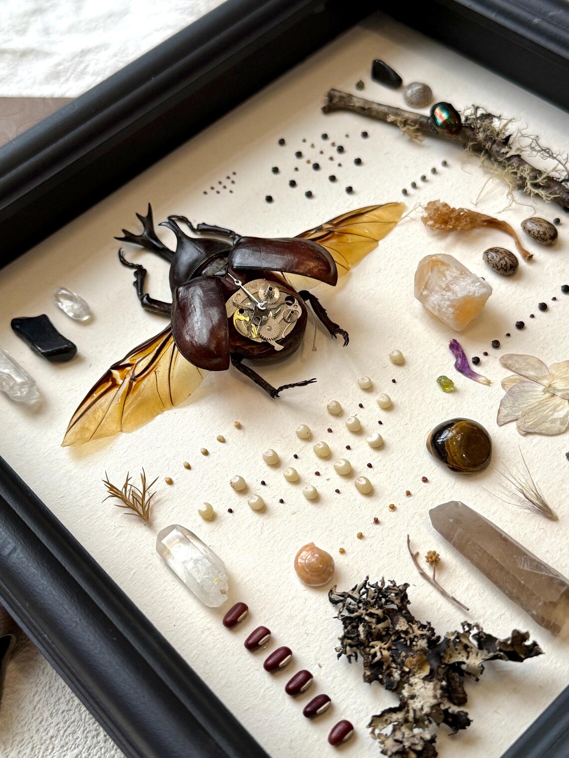 Steampunk-inspired Beetle Art: Beetle & Botanical Specimen Art, Beetle ...