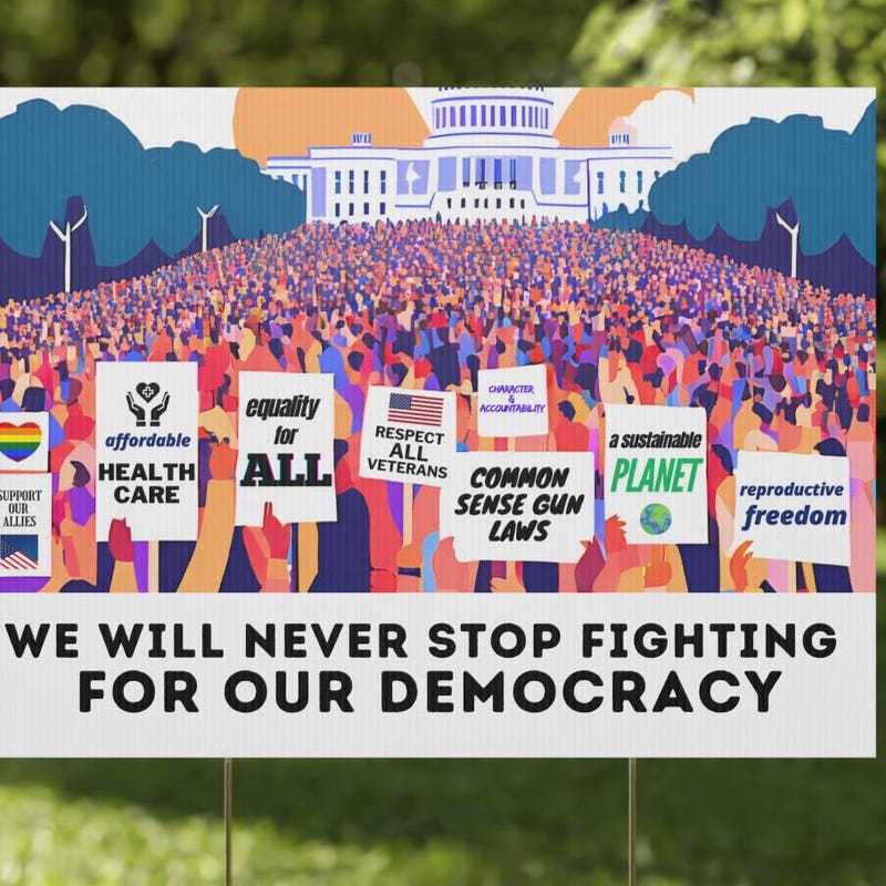 Democracy Protest Sign - Etsy