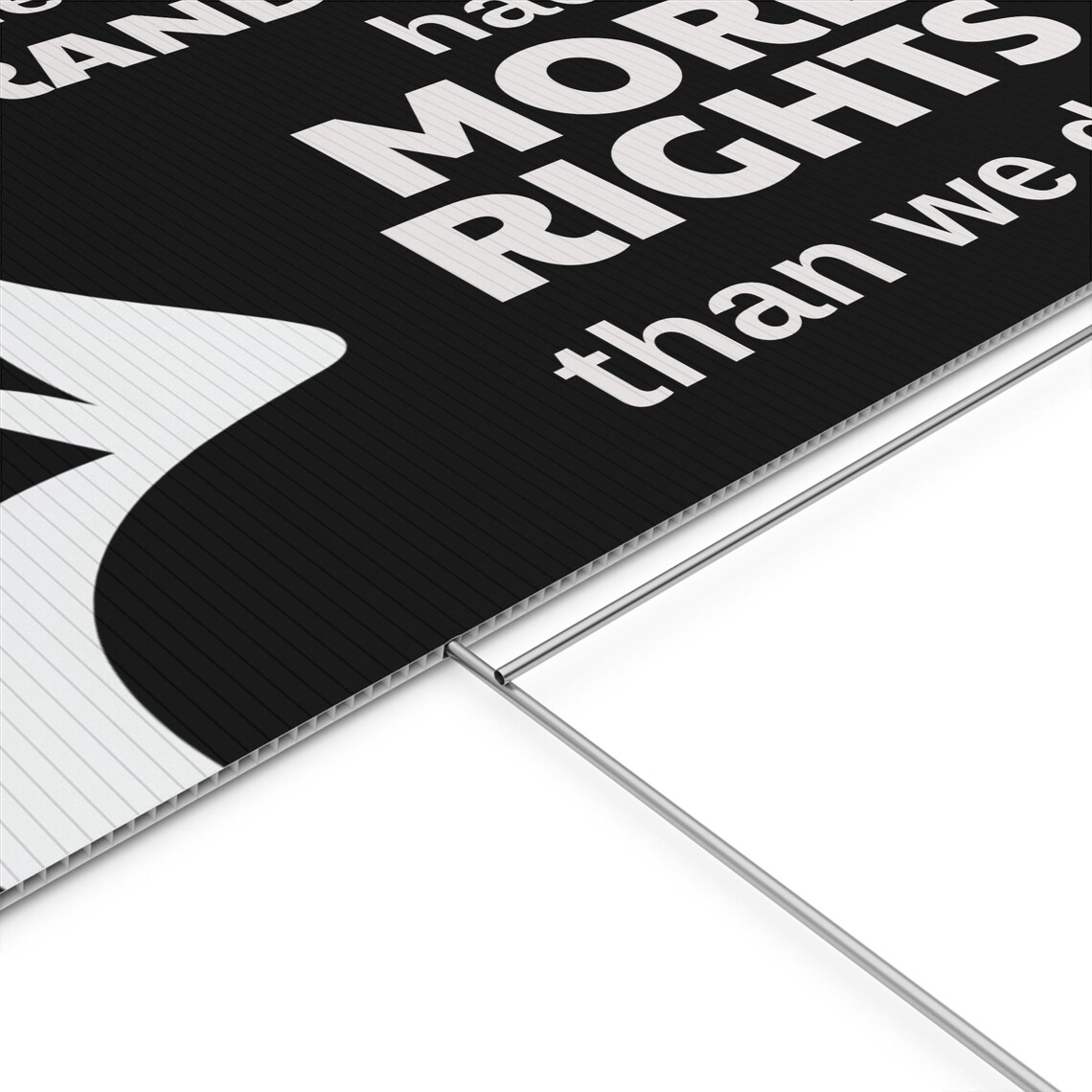 Women's Rights Political Activism Yard Sign, Protest Banner, Statement ...