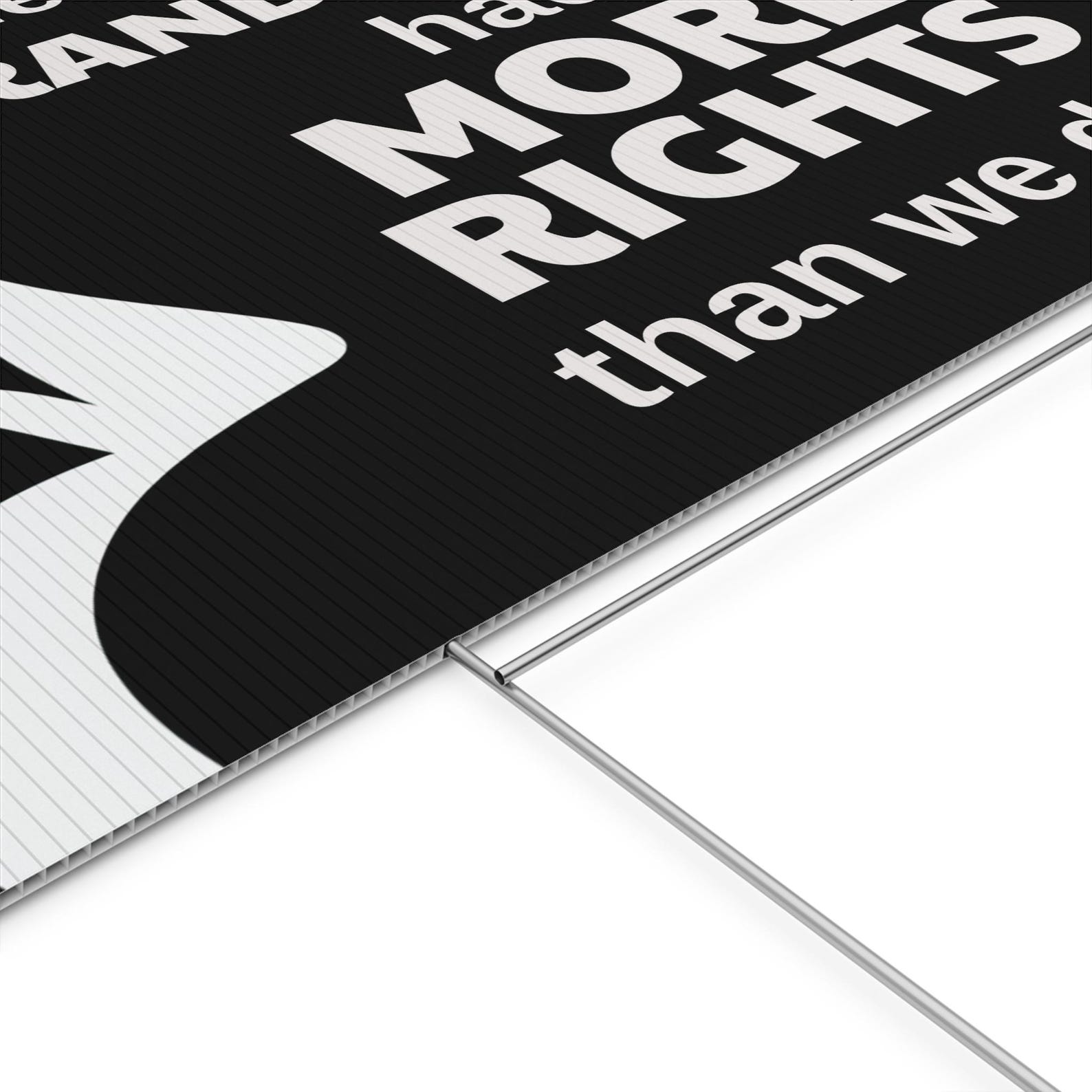 Women's Rights Political Activism Yard Sign, Protest Banner, Statement ...
