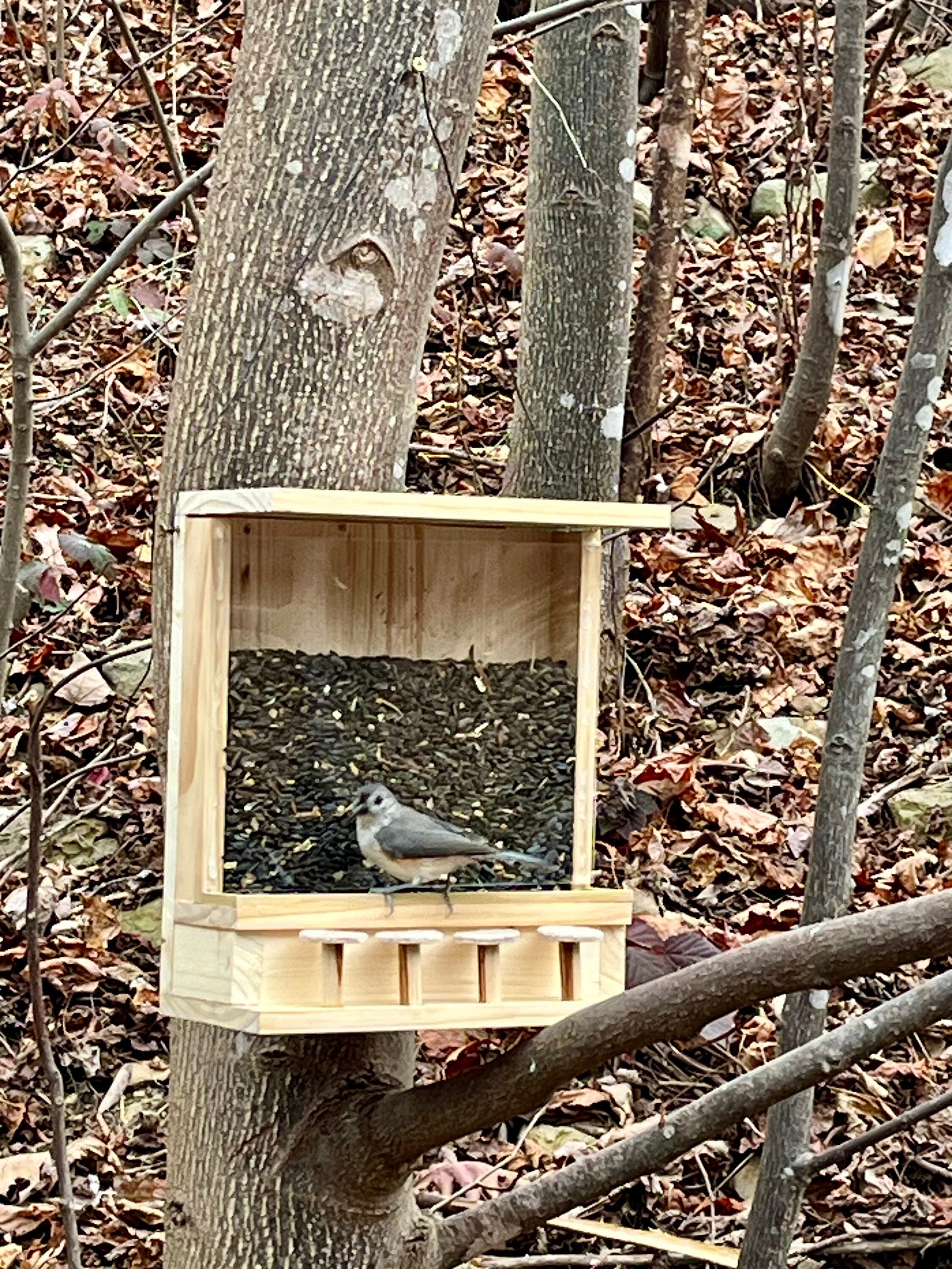 The Birdie Bar, Bar Themed Bird Feeder, Handmade Bird Feeder - Etsy