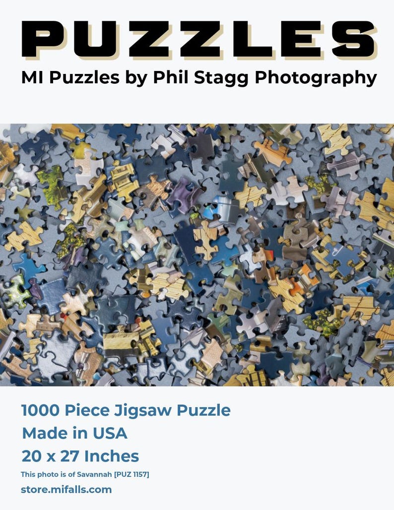 Lighthouses of Michigan - 1000 Piece Jigsaw Puzzle - MI Puzzles by Phil ...