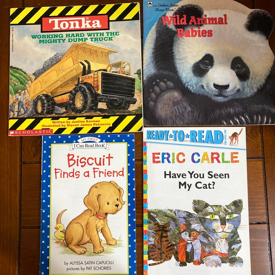 Beginner Reader. Preschool-kindergarten Level Books. Build Your Own ...