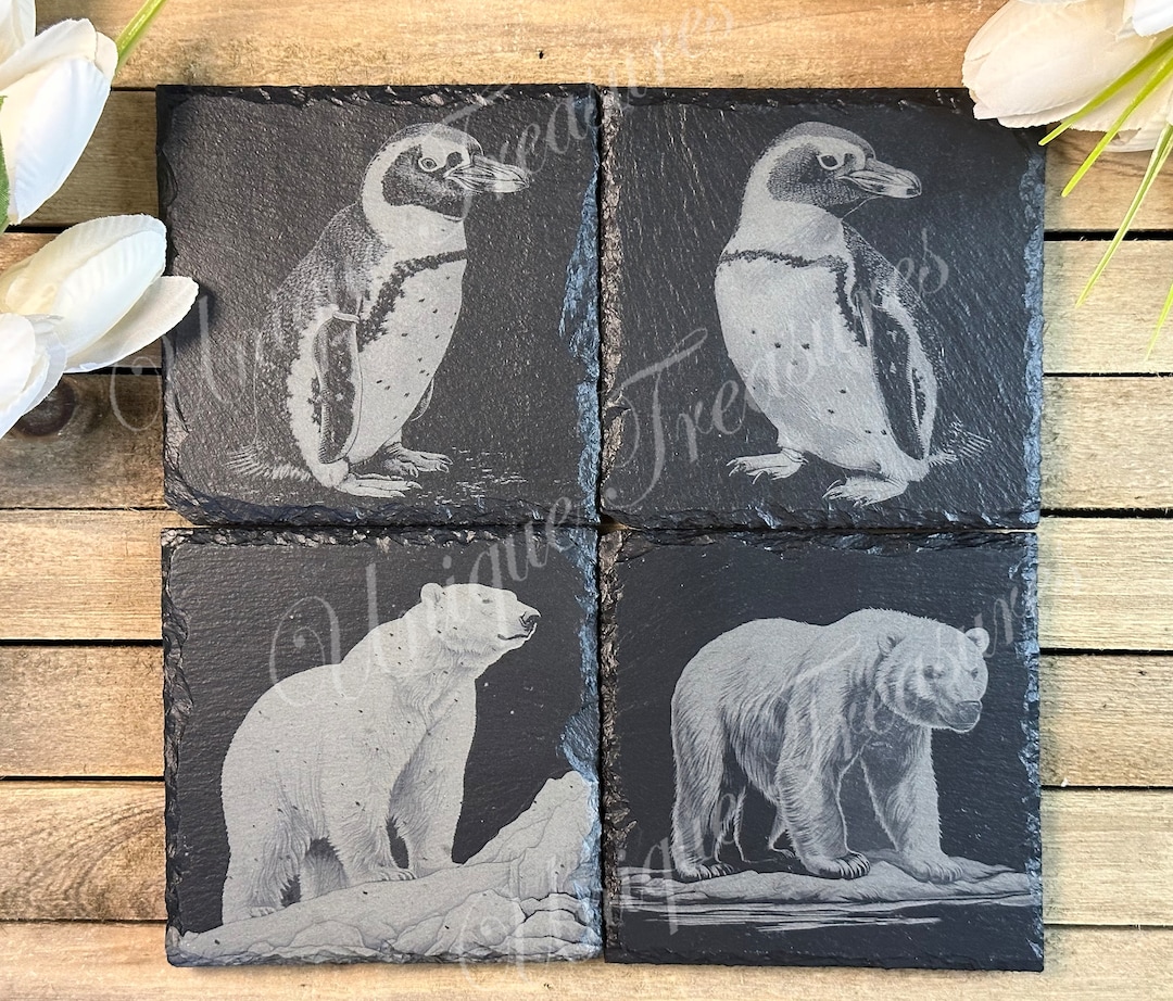 Laser Engraved Slate Coasters, Polar Bears, Penguins, Exotic Polar ...
