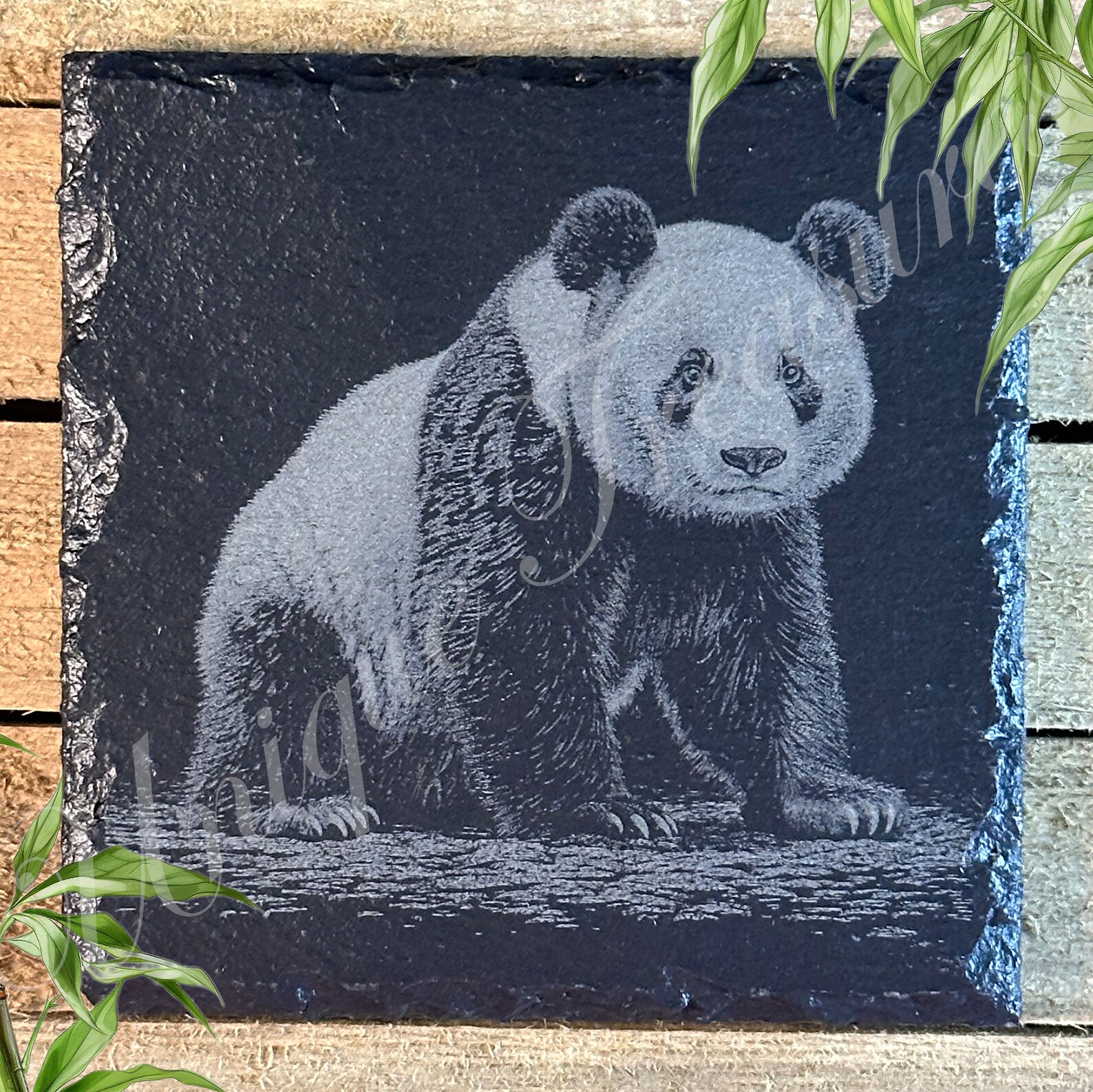Laser Engraved Slate Coasters, Pandas | Exotic Animals | Great Gift ...