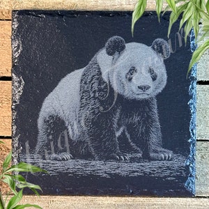 Laser Engraved Slate Coasters, Pandas | Exotic Animals | Great Gift ...