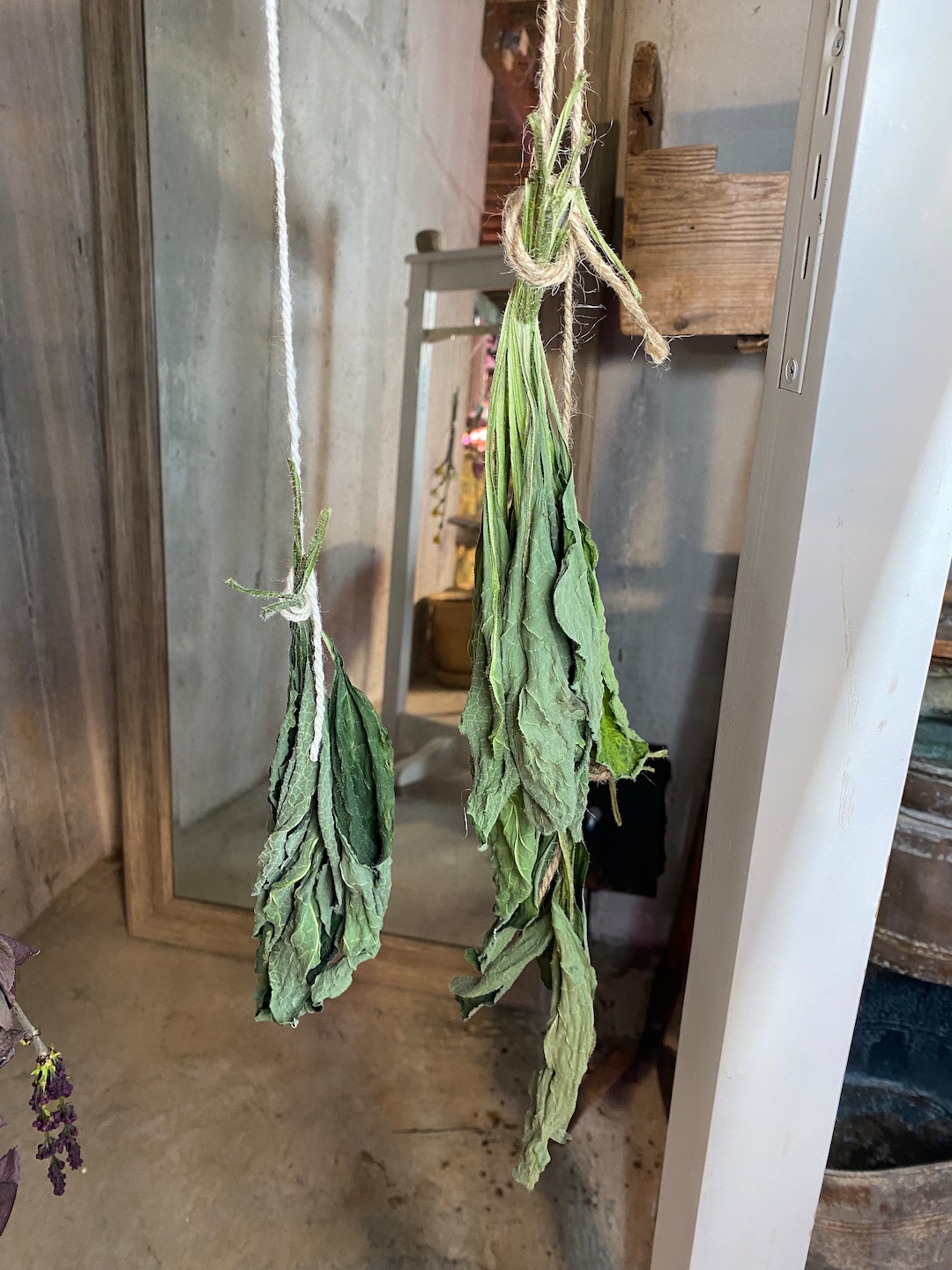 Dried Comfrey Leaves - Etsy