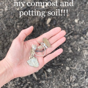 Freeze Dried Organic Comfrey Leaves: Natural Fertilizer, Salve ...